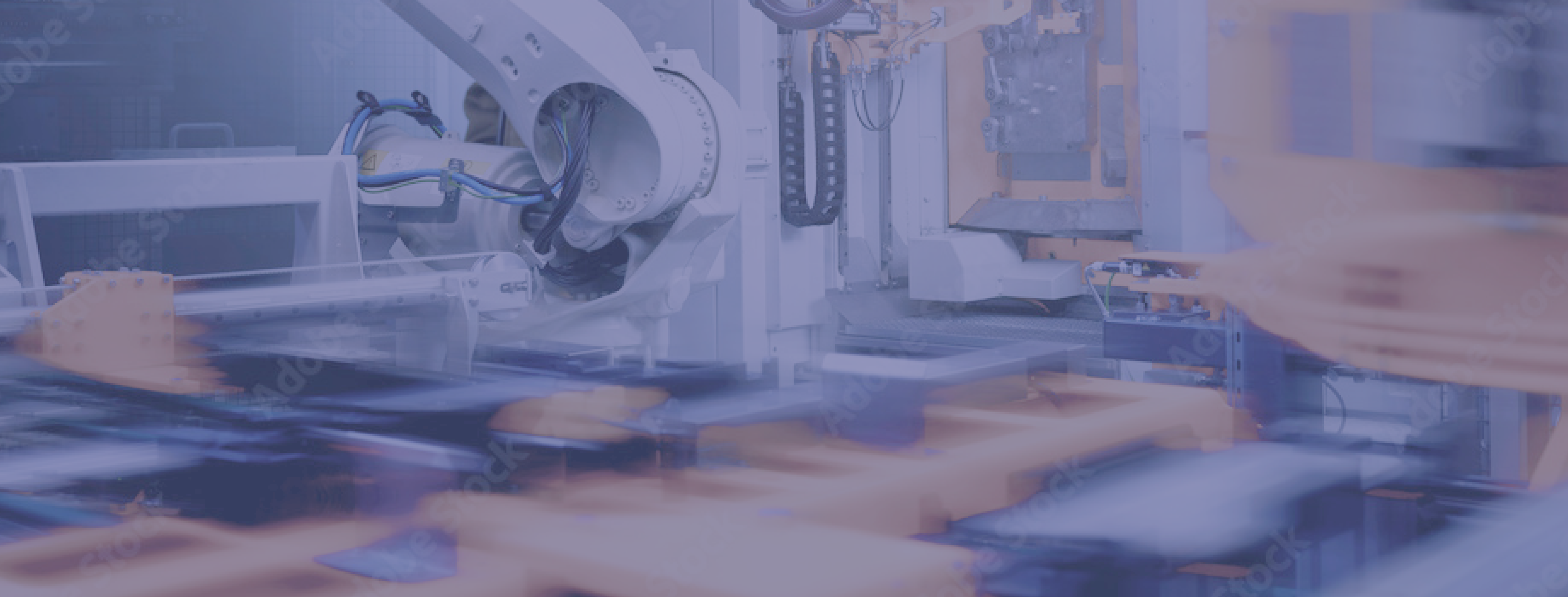 SVI Cambodia | Career page